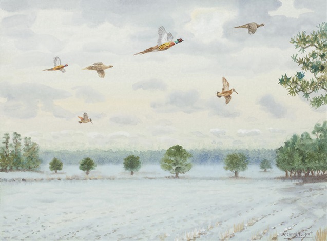 Watercolour Sketches The Pheasant, Studies in Words and Pictures, 24 ...